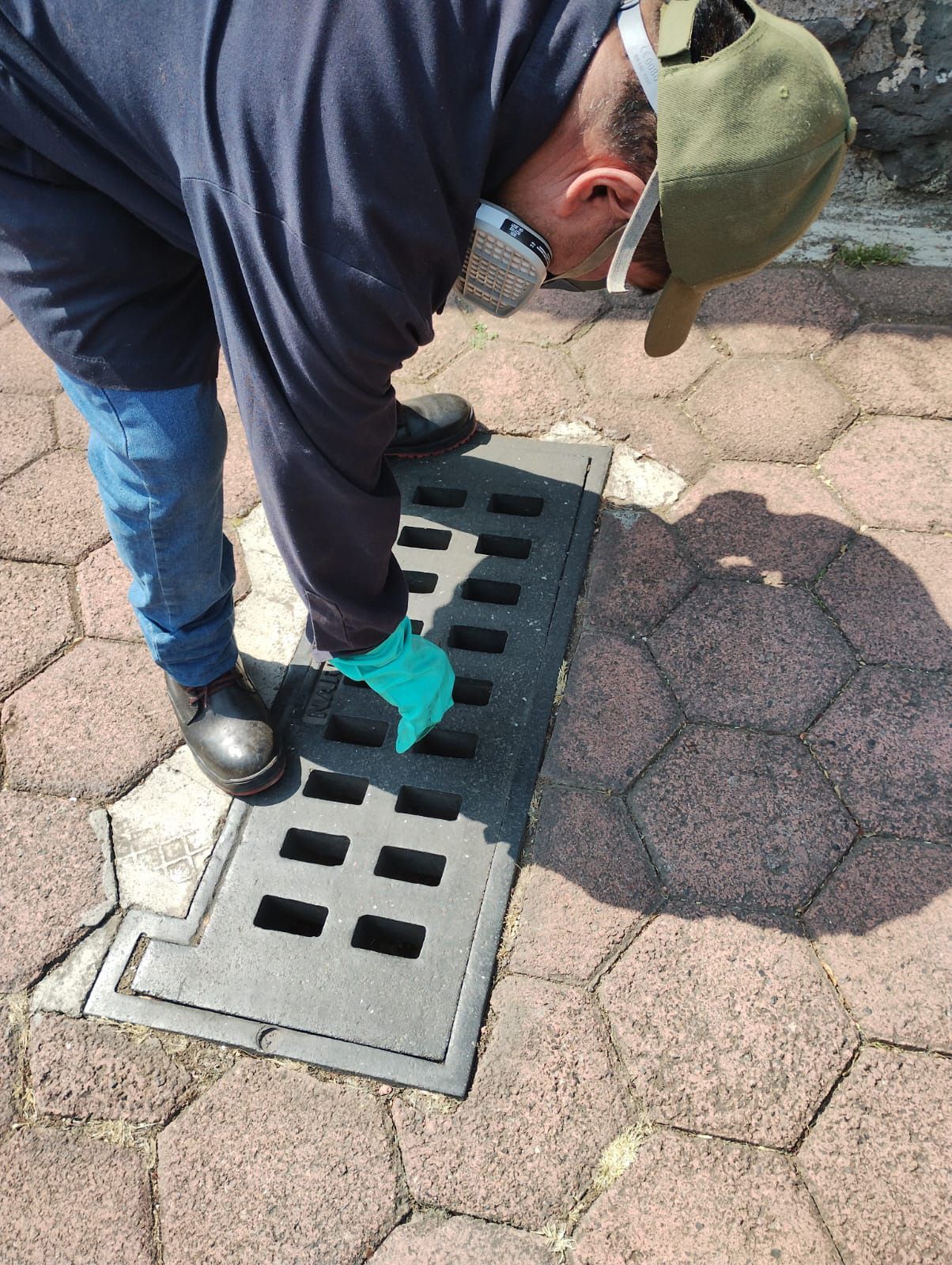 Fumigación, eliminación y control de plagas en CDMX y Tlalnepantla | SAM FUMIGACIONES