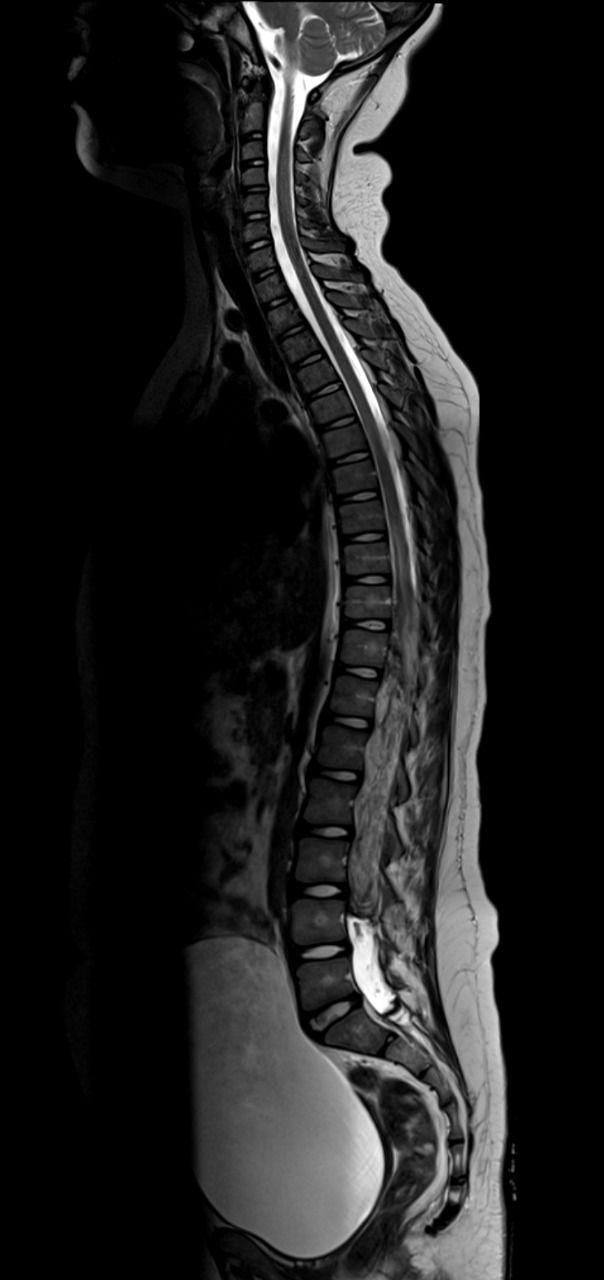 Imagenología Y Pruebas Médicas En Colima