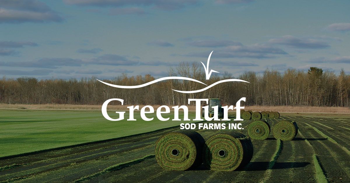 Local Sod for Sale | Big Roll Sod | GreenTurf Sod Farm