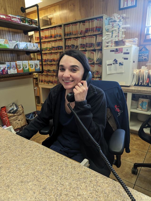 Meet Our Expert Veterinary Team | Bossier City, LA