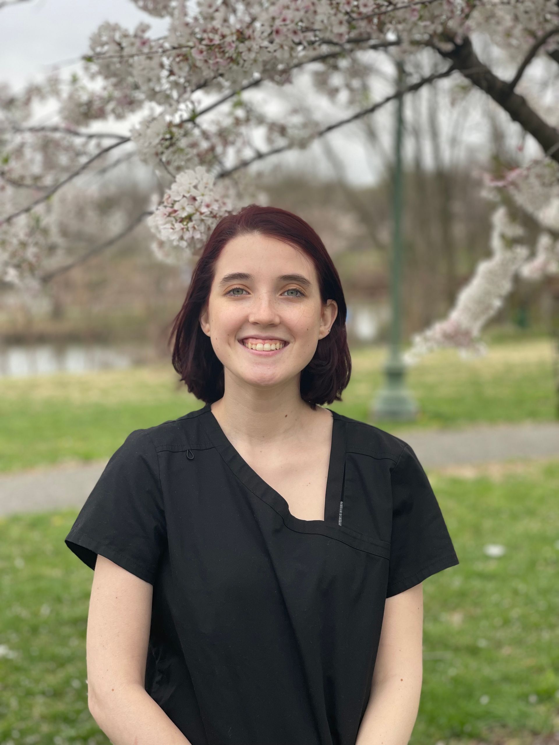 Meet the Team | Top Dentist in Alexandria VA 22304