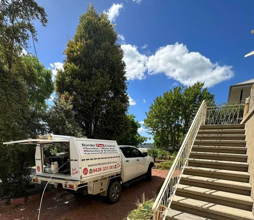 Pest Control Albury | Border Pest Control