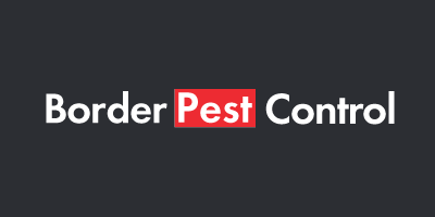 Pest Control Albury | Border Pest Control