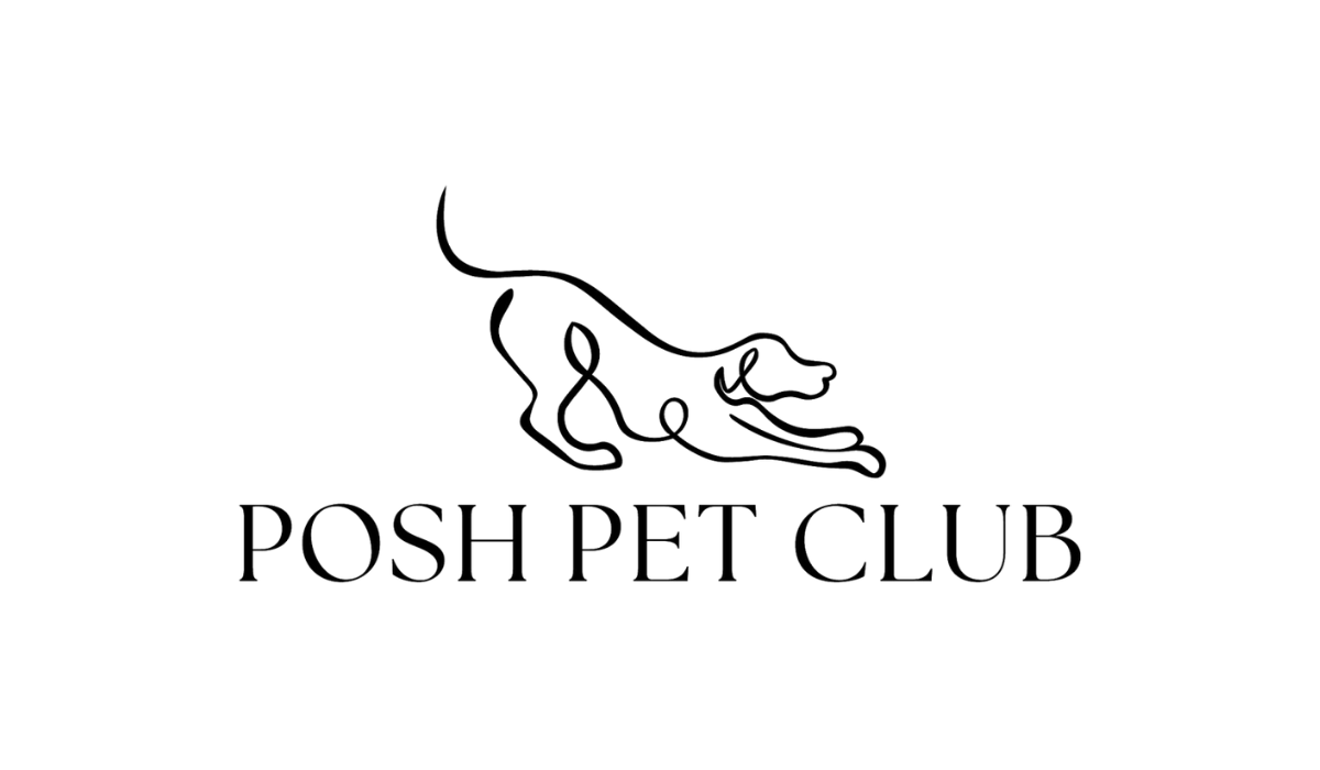 Dog and Pet Care Services in Chicago | Posh Pet Club