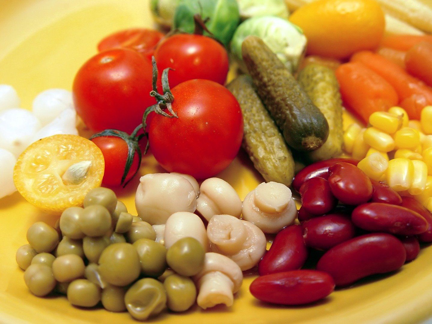 Caduceus Medical Partners, LLC | Holistic Medical Treatments