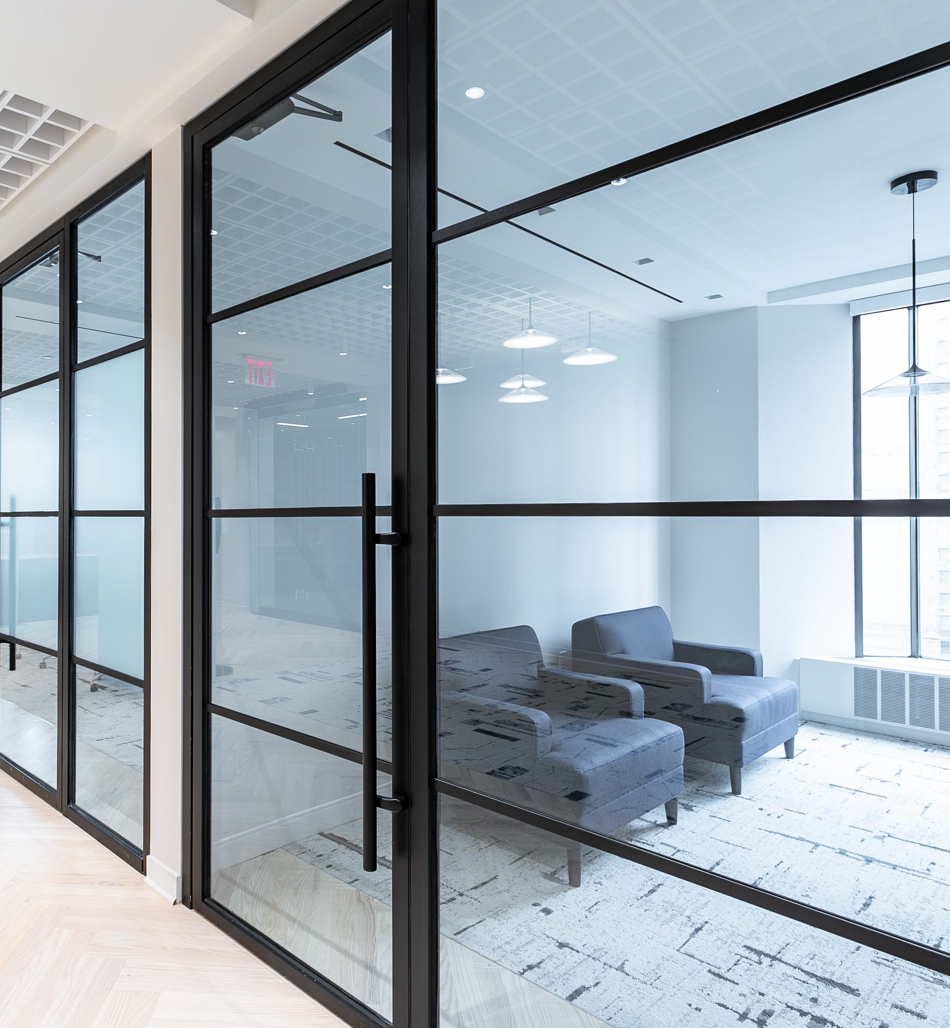 Steel and Glass Door