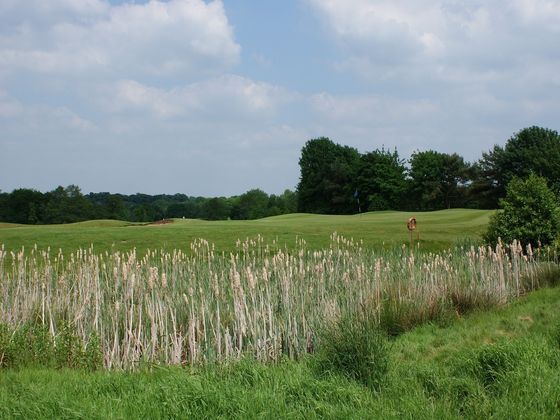 New Golf Course Design | Green Tyger Design