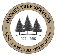 Expert Tree Care | Forrestfield, WA | Payne’s Tree Services