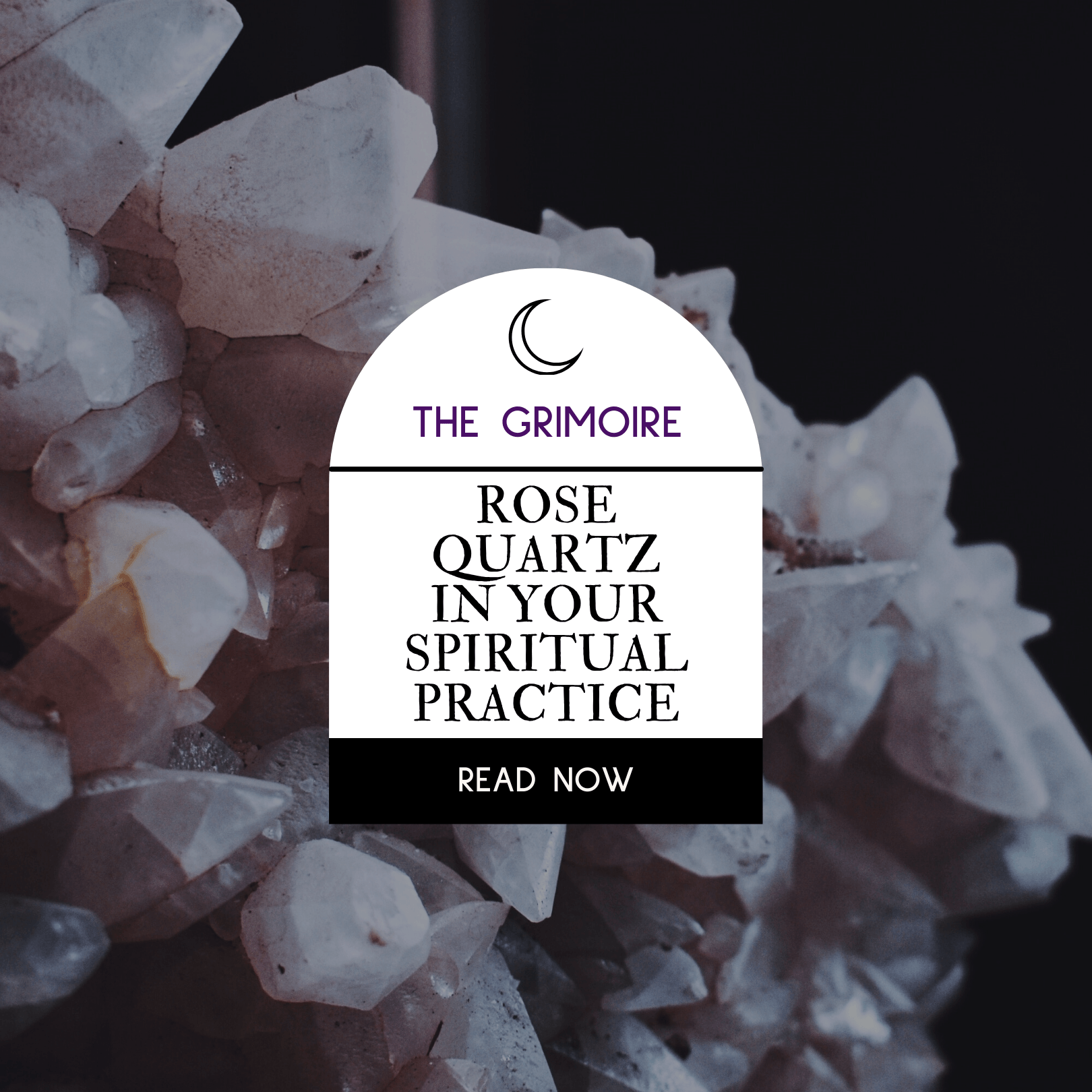 The Grimoire | Salem Supply Co