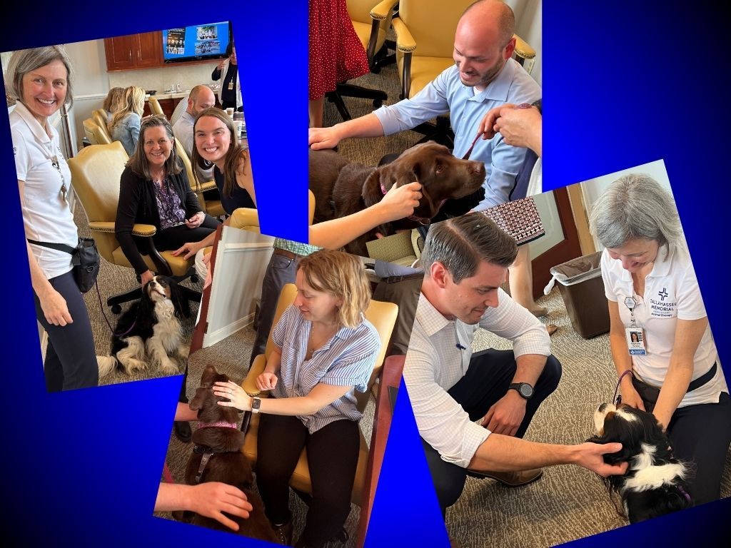 Pennington PA has special lunch with TMH Animal Therapy