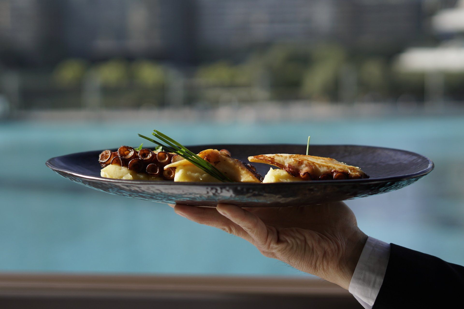 Among The Best Restaurants in Dubai - Italian Seafood Dining in Dubai