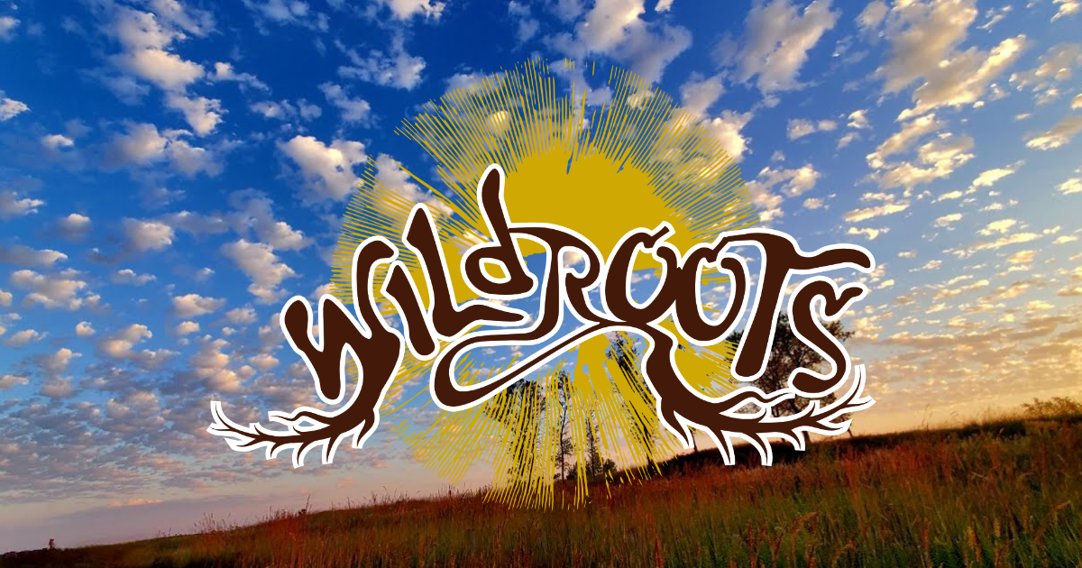 Guided Foraging & Workshops | Wild Roots | MN