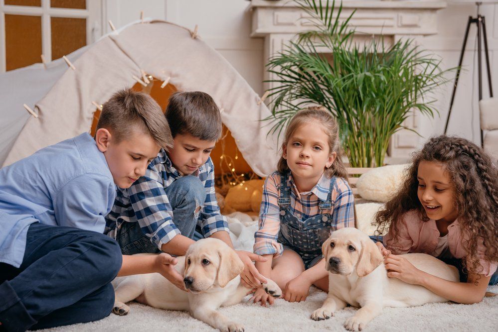 Early Socialization Puppy Training Tips