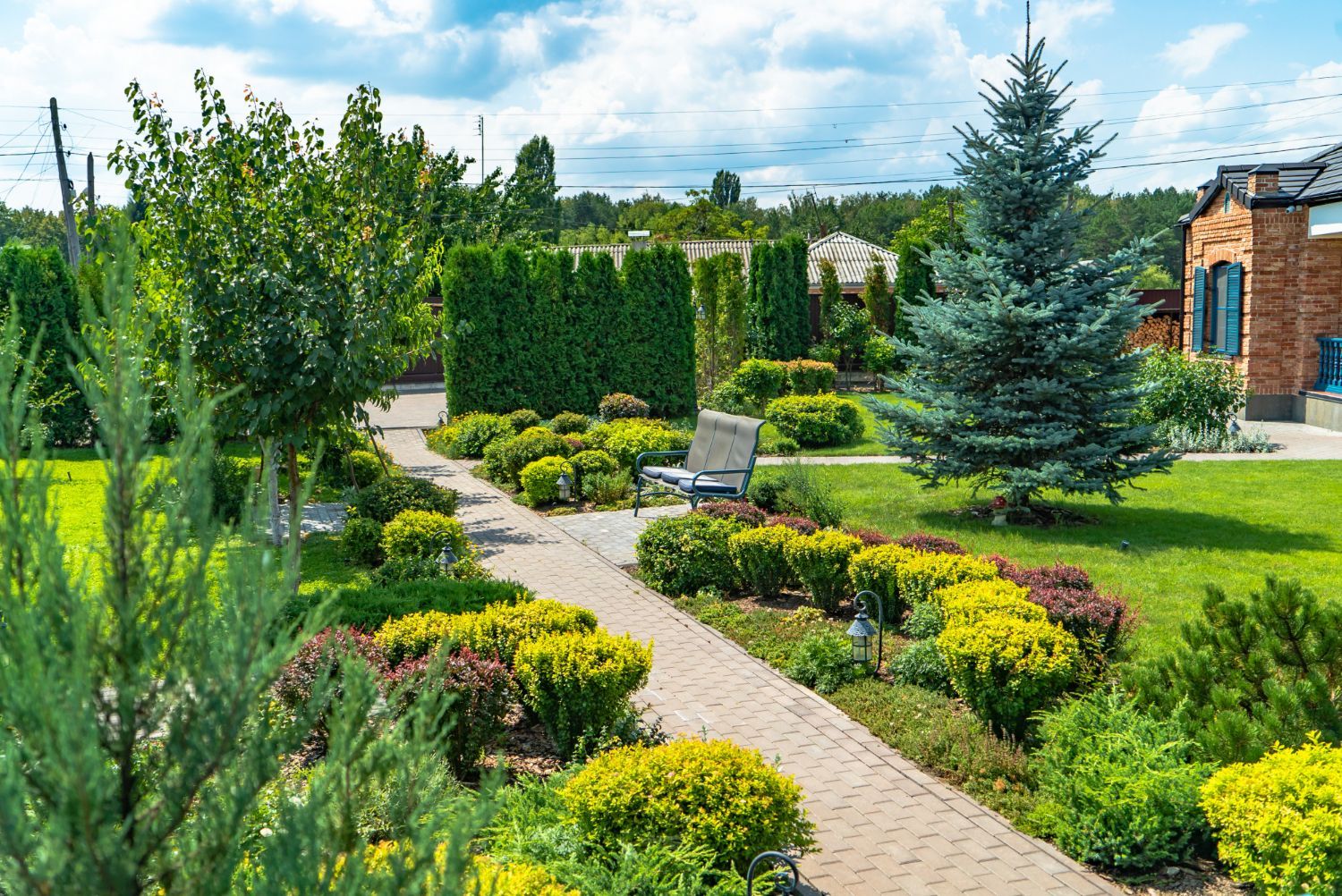 Landscaping to Prevent Soil Erosion? | Lawngevity Landscaping