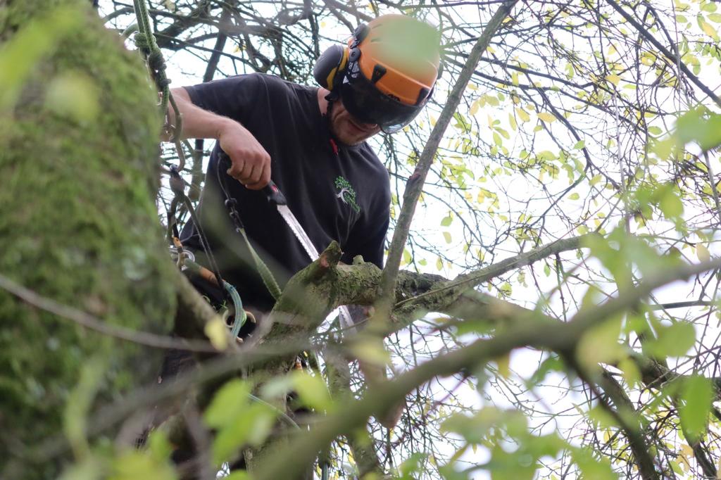 A complete guide to managing vegetation efficiently