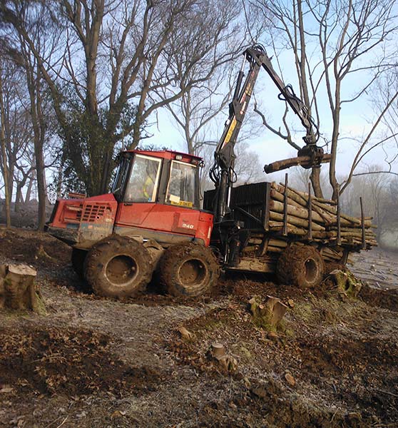 Forestry services | Powell Forestry