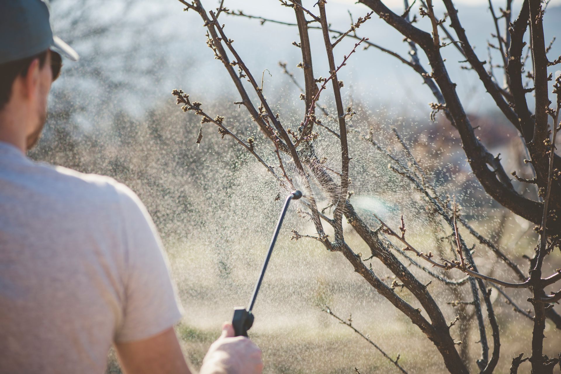 Pest Exterminating – Gainesville, GA – Duncan Exterminating