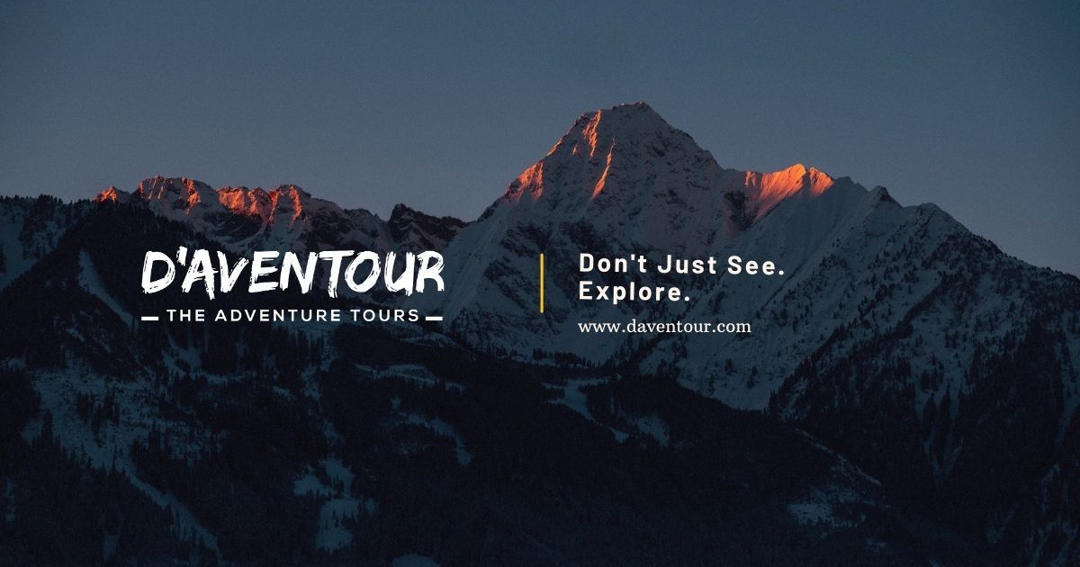 D'AvenTour: Authentic Portugal Tours - Explore Douro Valley, Aveiro ...