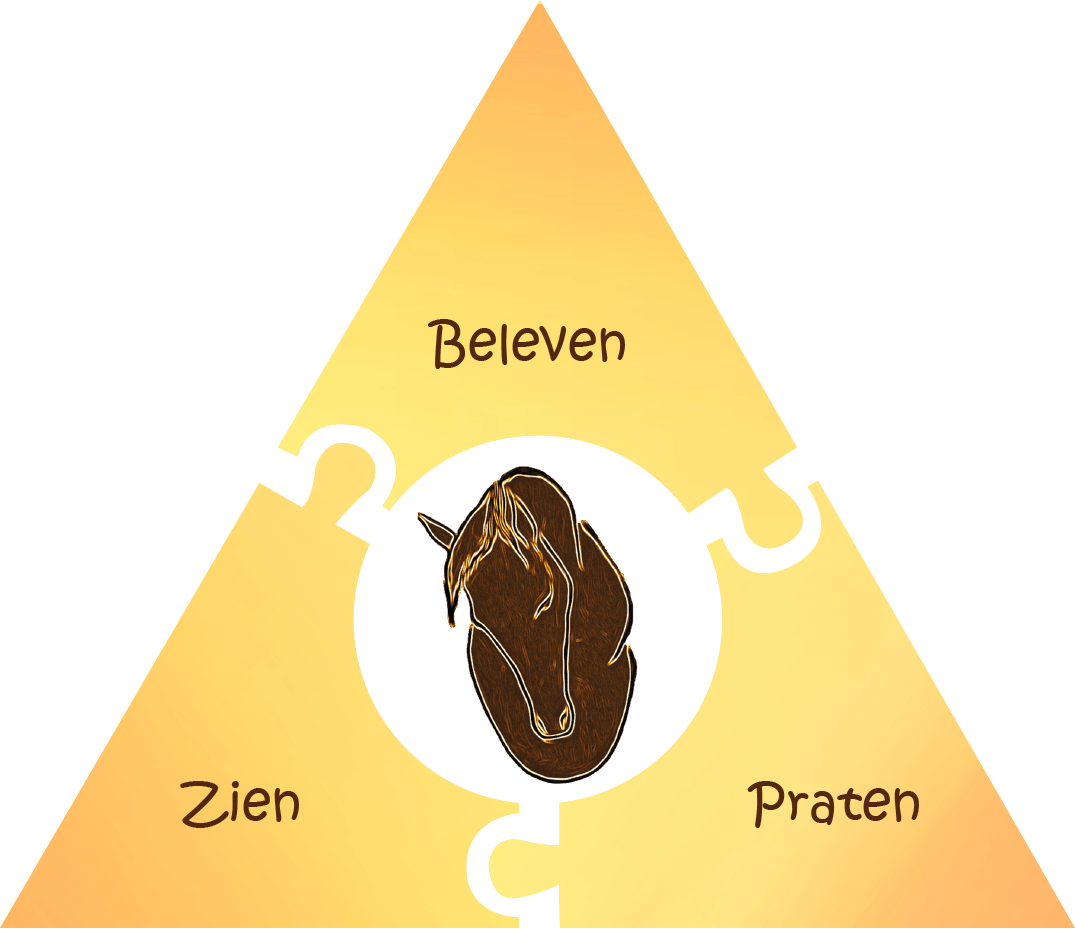 Unique Encounters, Equine Assisted Coaching, coaching met paarden ...