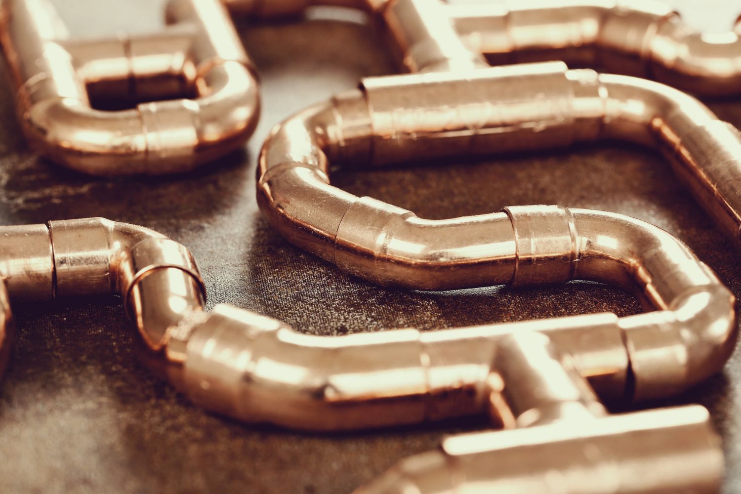 Safeguarding Your Pipes Against Tree Root Intrusion