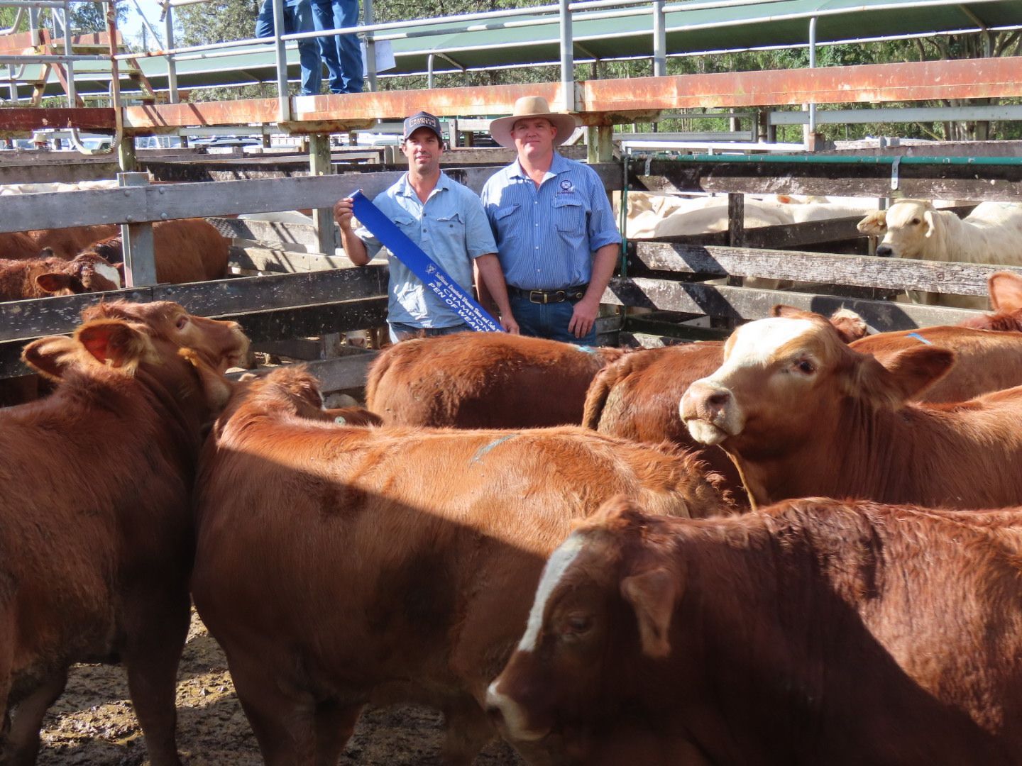 Market Reports & Industry News | Sullivan Livestock and Rural Services