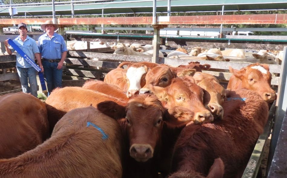 Market Reports & Industry News | Sullivan Livestock and Rural Services
