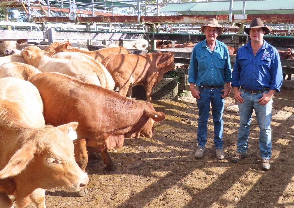 Market Reports & Industry News | Sullivan Livestock and Rural Services