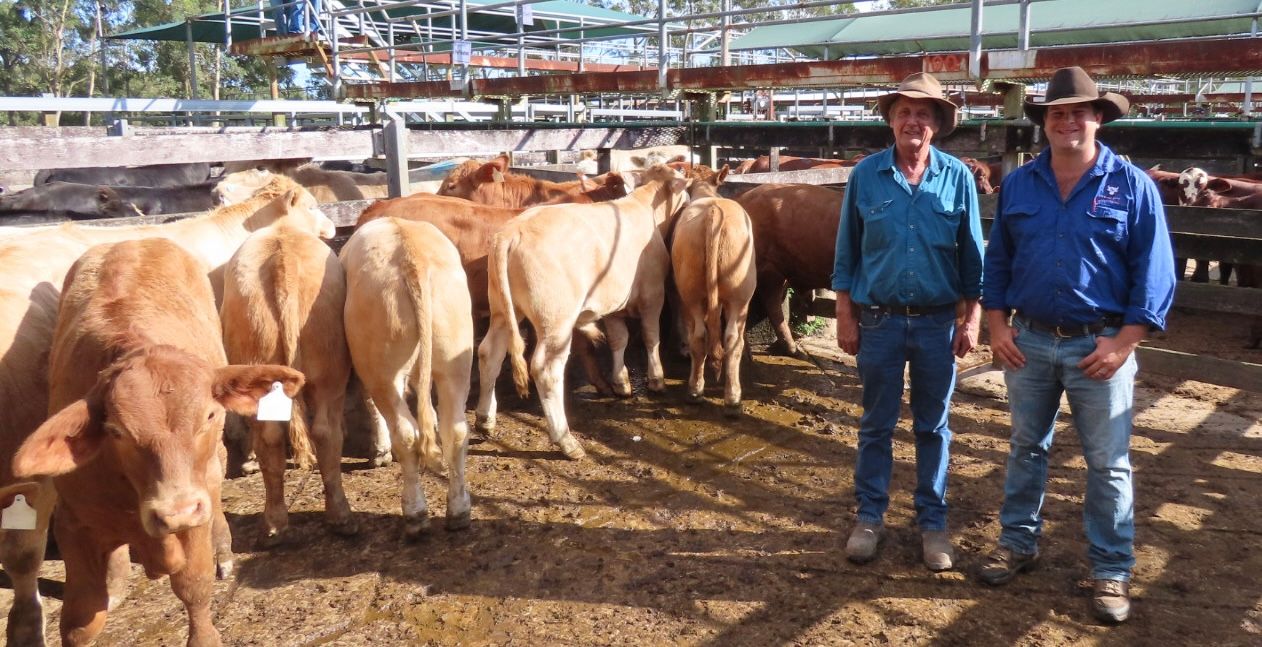 Market Reports & Industry News | Sullivan Livestock and Rural Services