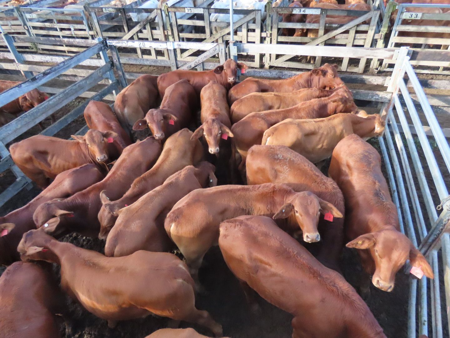 Market Reports & Industry News | Sullivan Livestock and Rural Services