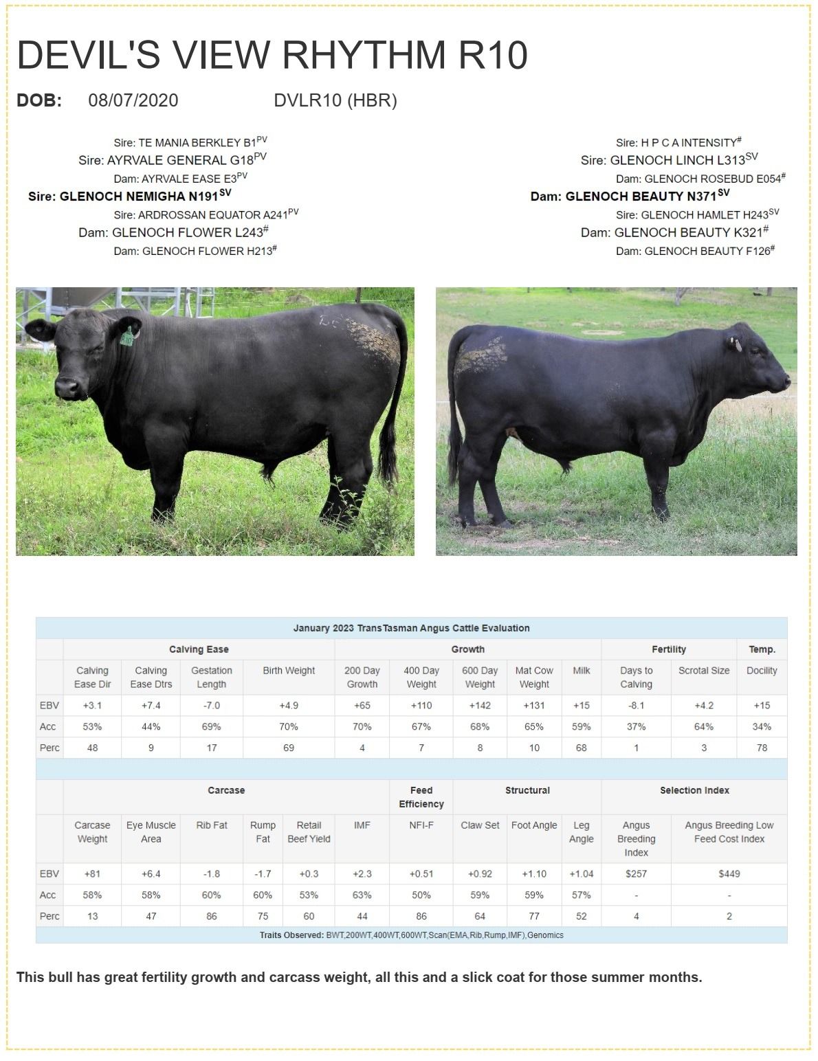 Paddock Sales | Sullivan Livestock and Rural Services
