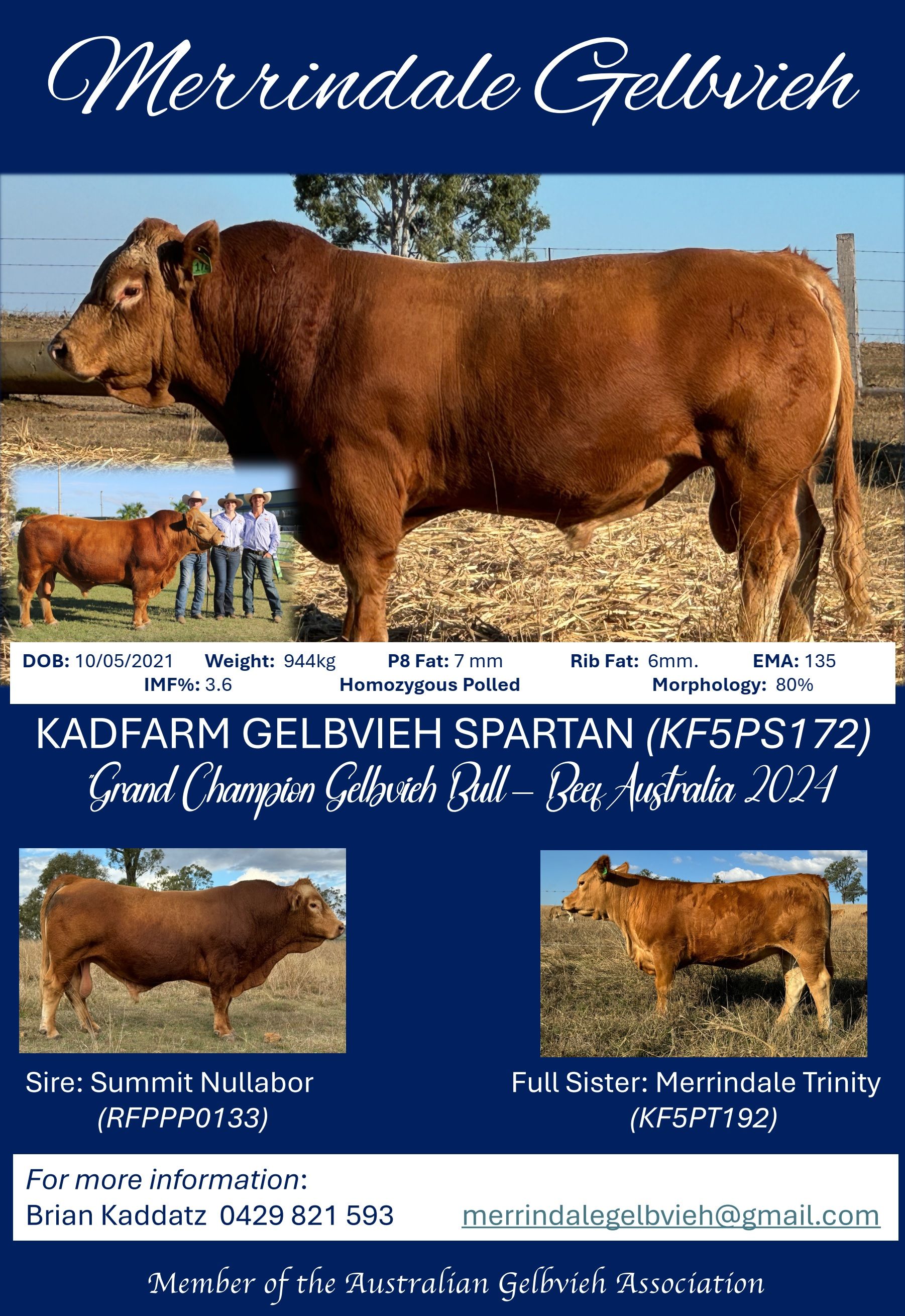 Paddock Sales | Sullivan Livestock and Rural Services