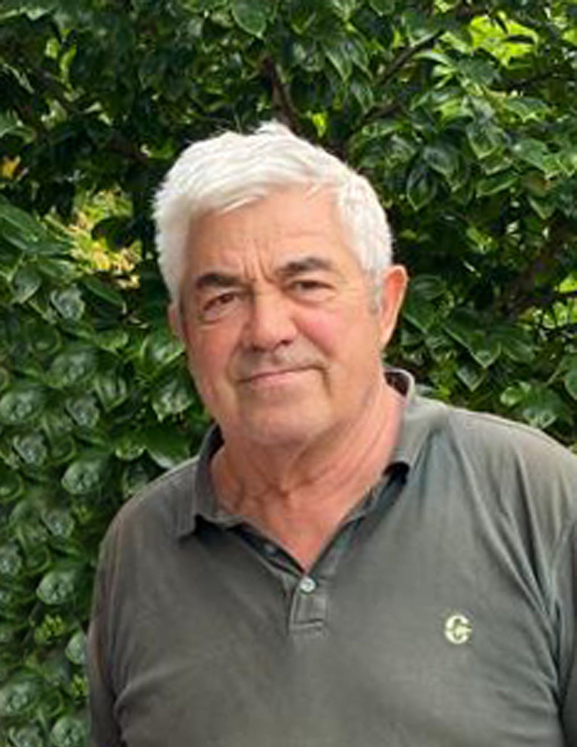 Necrologi | Mezzolombardo | Onoranze Funebri San Giovanni