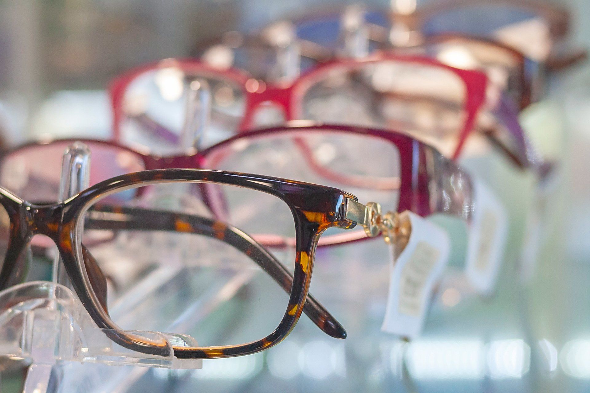 Optometry l Knoxville, TN l Allee Vision Optometry