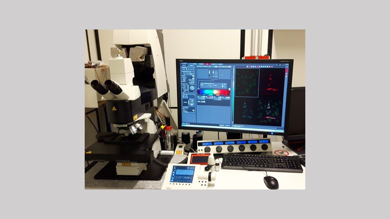 Agro BioResearch: Best experts for in-lab testing methods