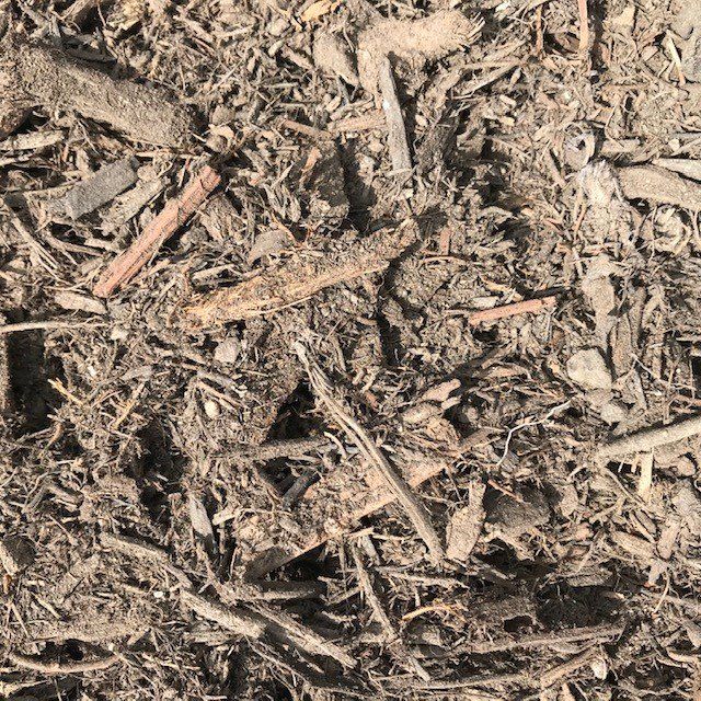 Bark and Mulch Suppliers in Brisbane | Apollo Landscaping