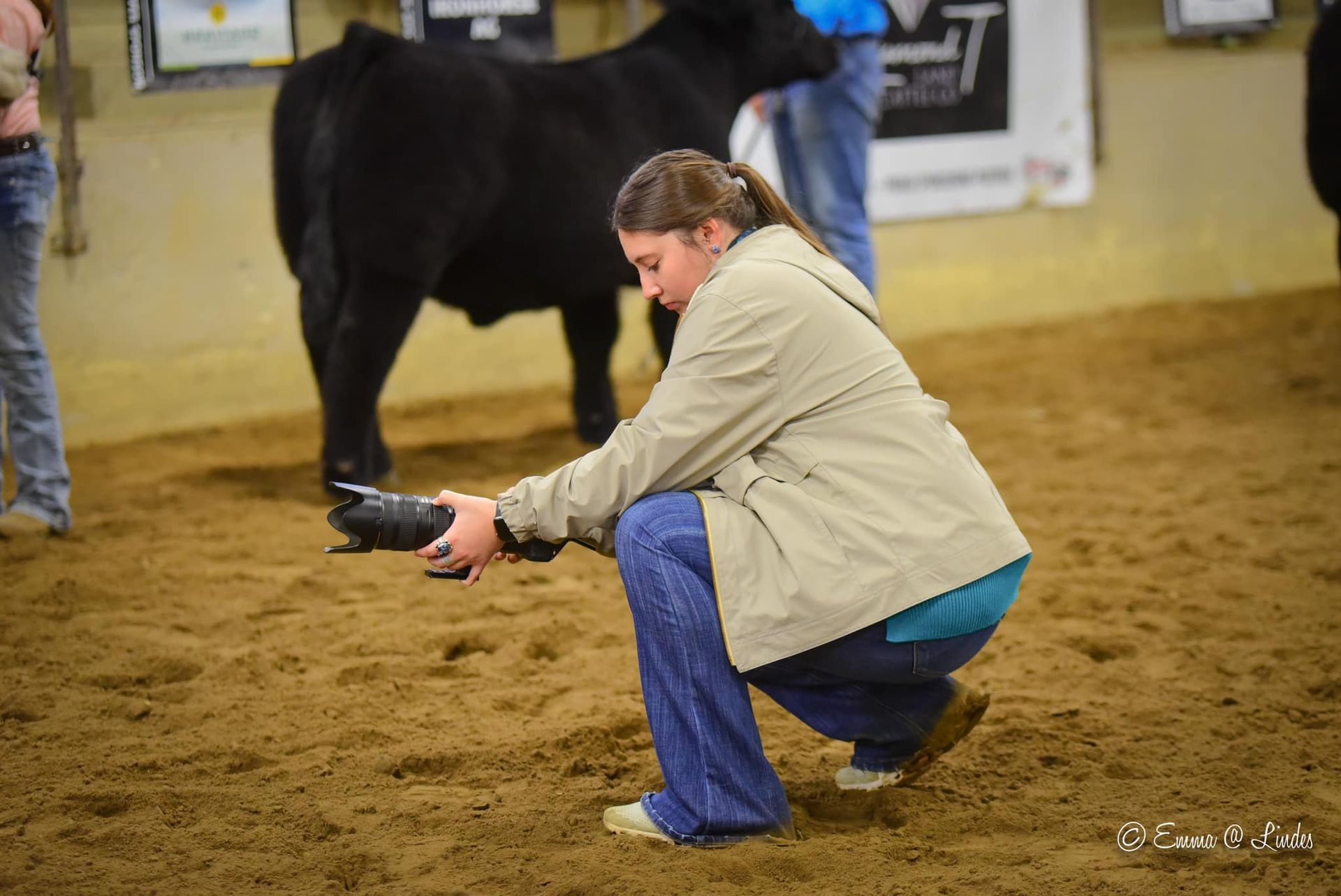 Meet Our Award-Winning Team | Linde's Livestock Photos
