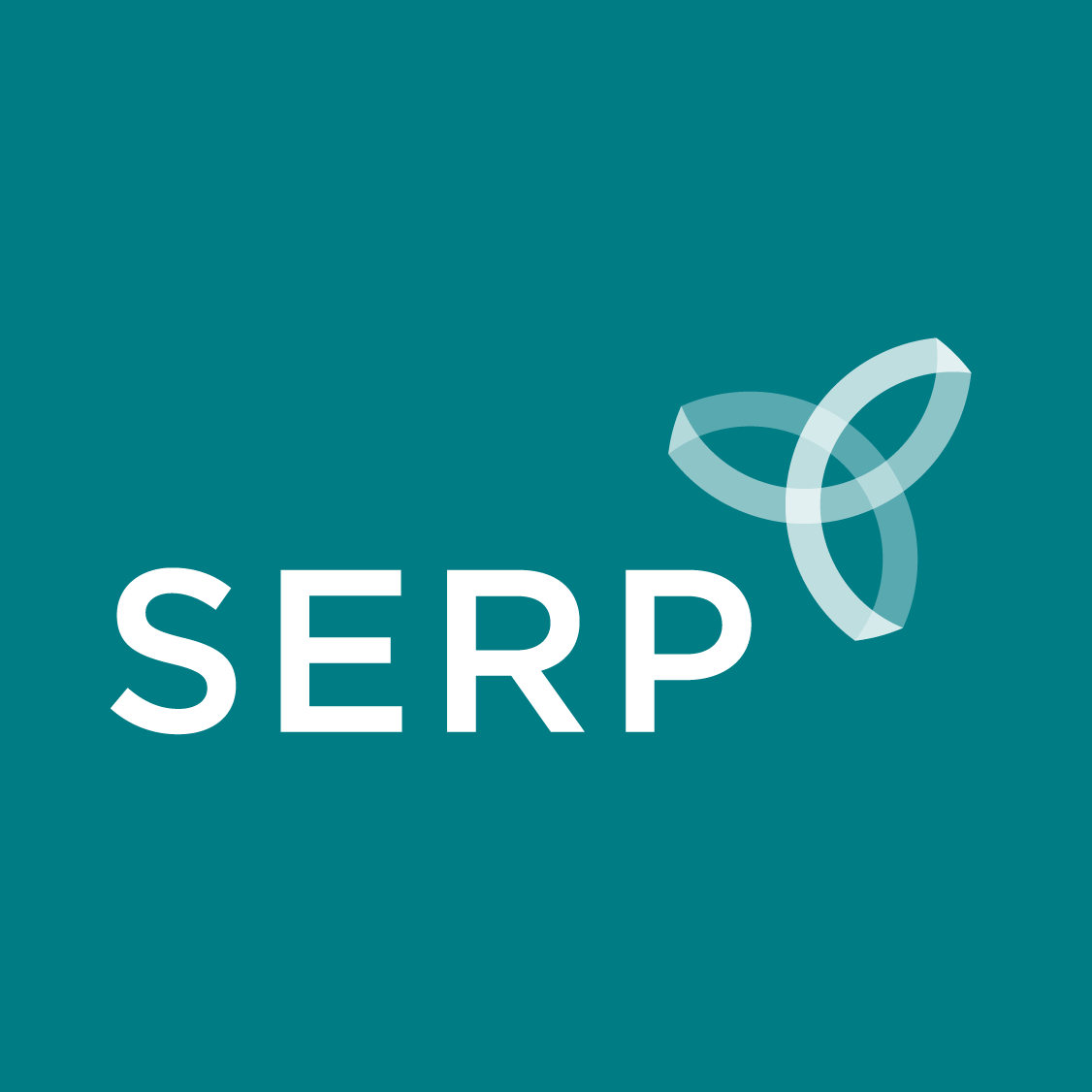 Open Positions | SERP Institute