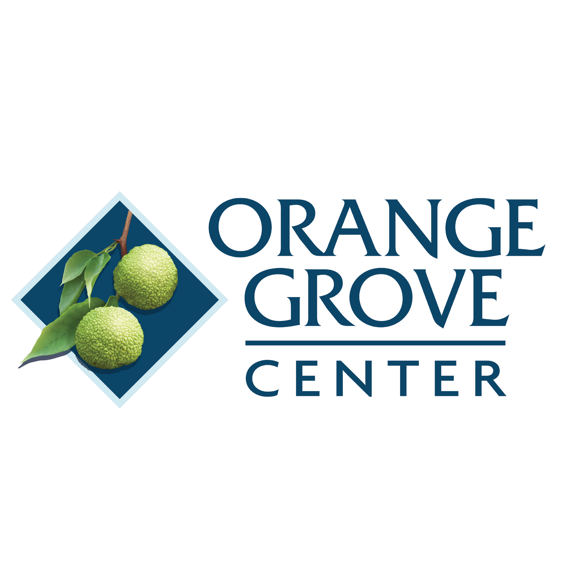 Careers at Orange Grove Center