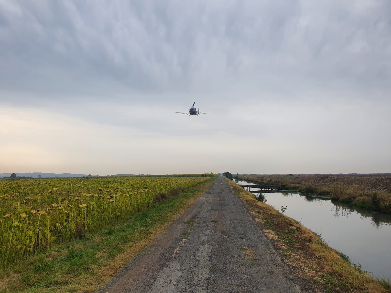 Sacha’s notes from the field: France and Spain