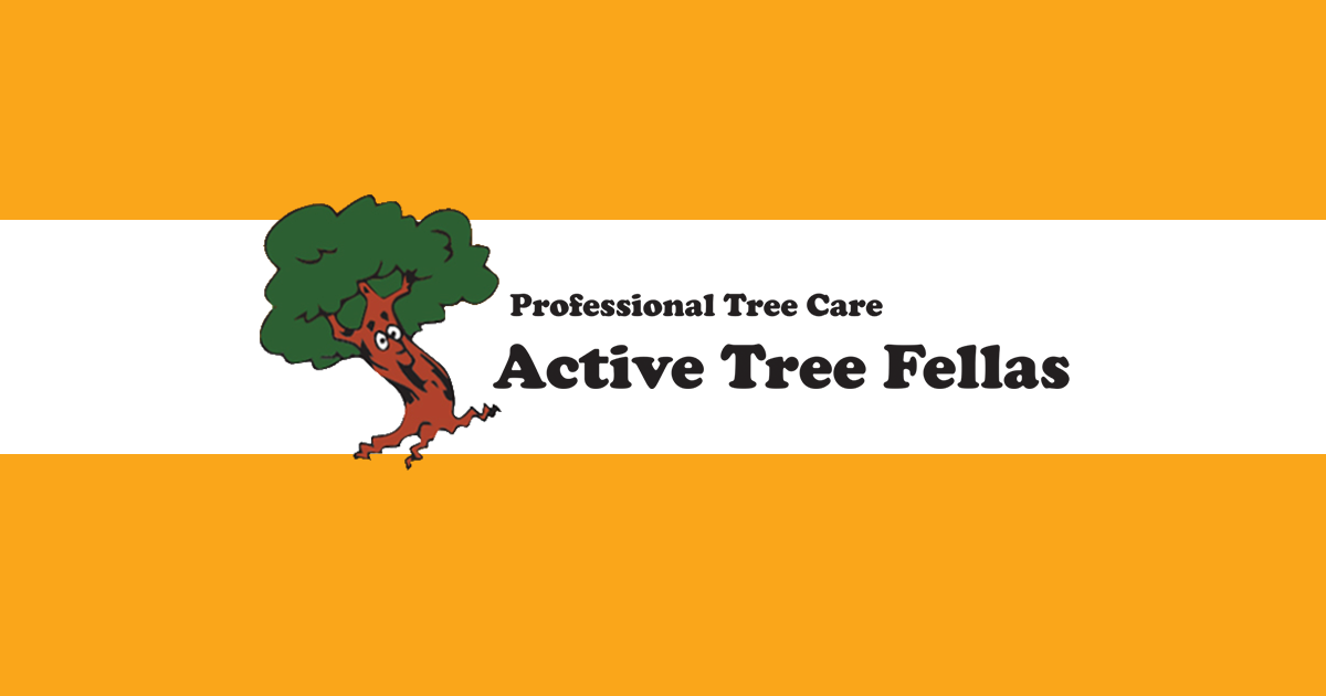 Active Tree Fellas | Arborists in Hervey Bay
