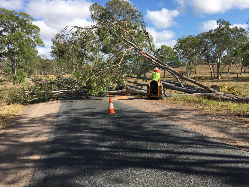 Tree Clearing in Hervey Bay | Active Tree Fellas