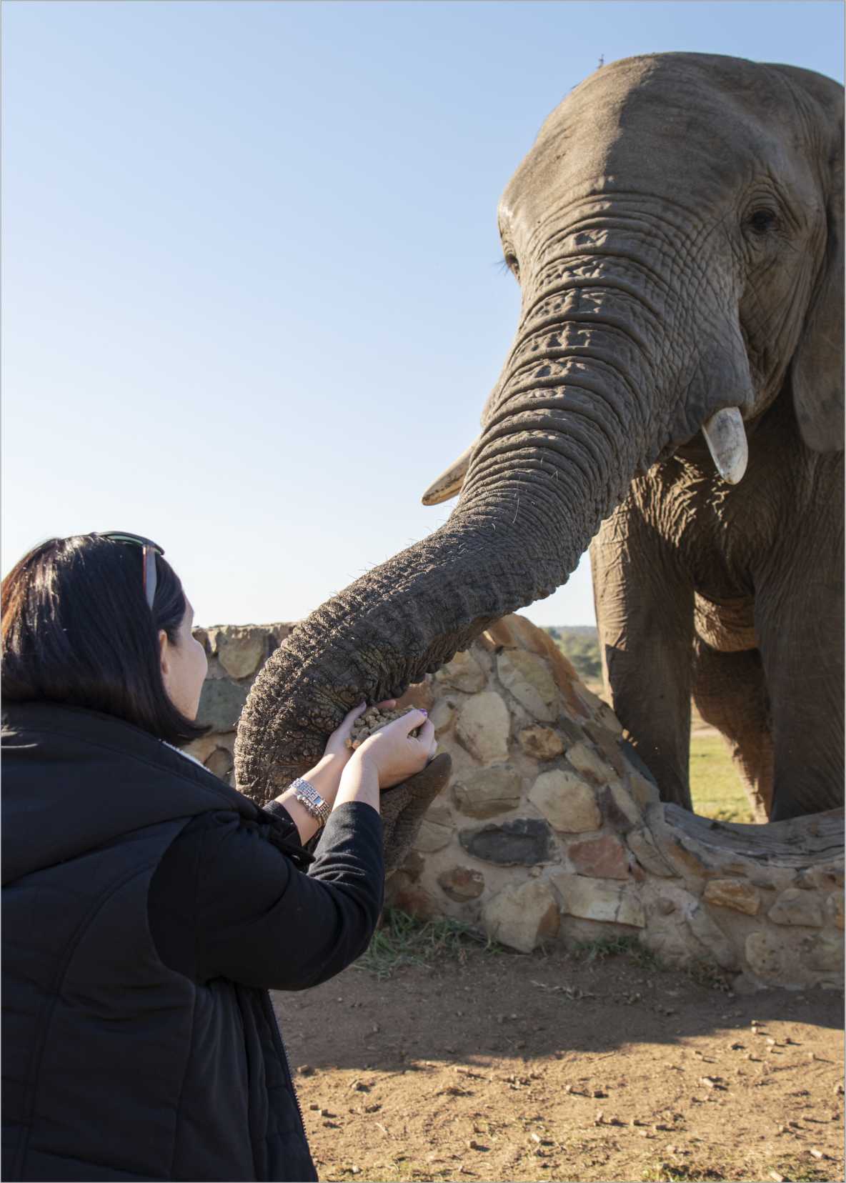 Activities in and around Hoedspruit