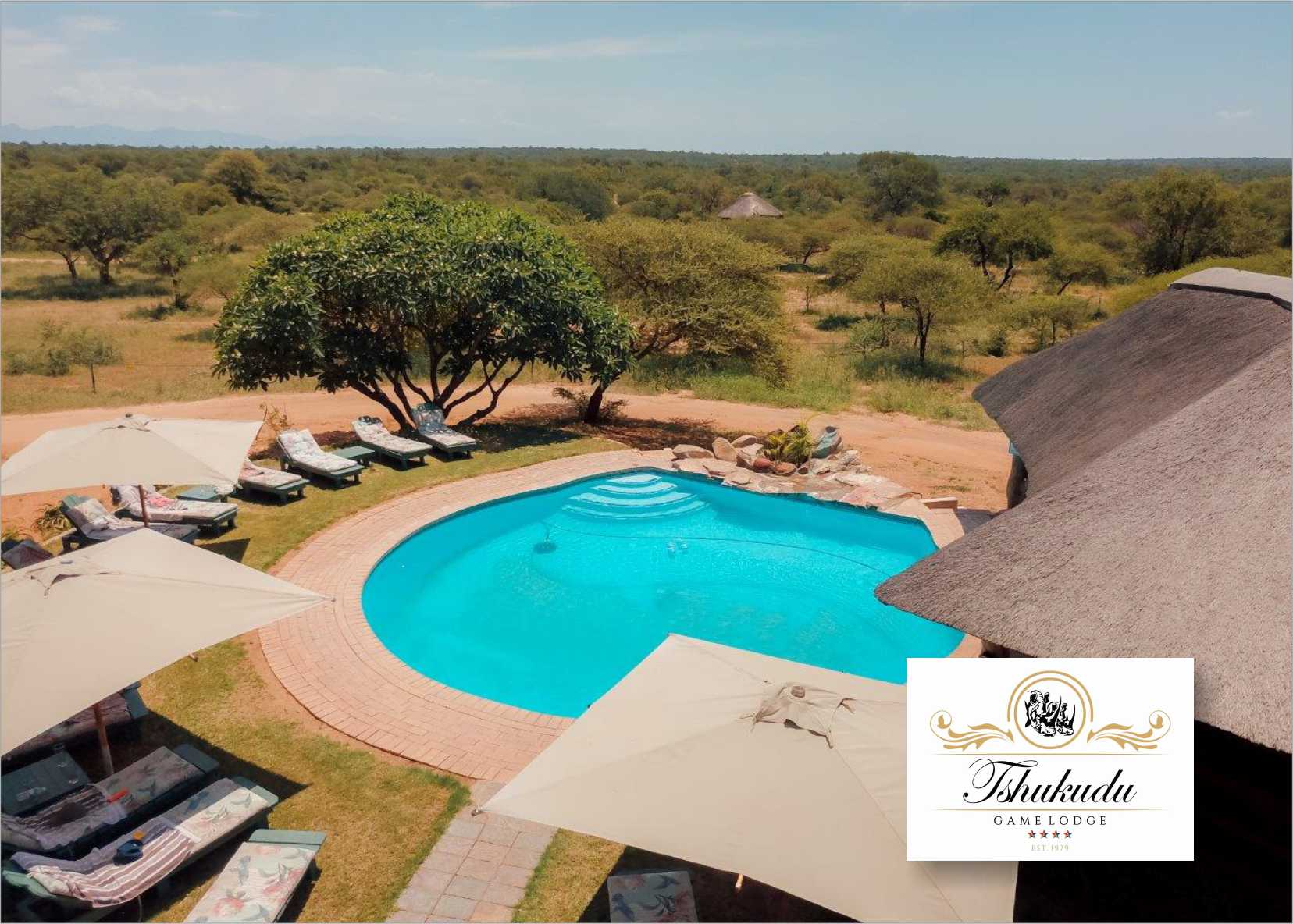 Wild About Hoedspruit