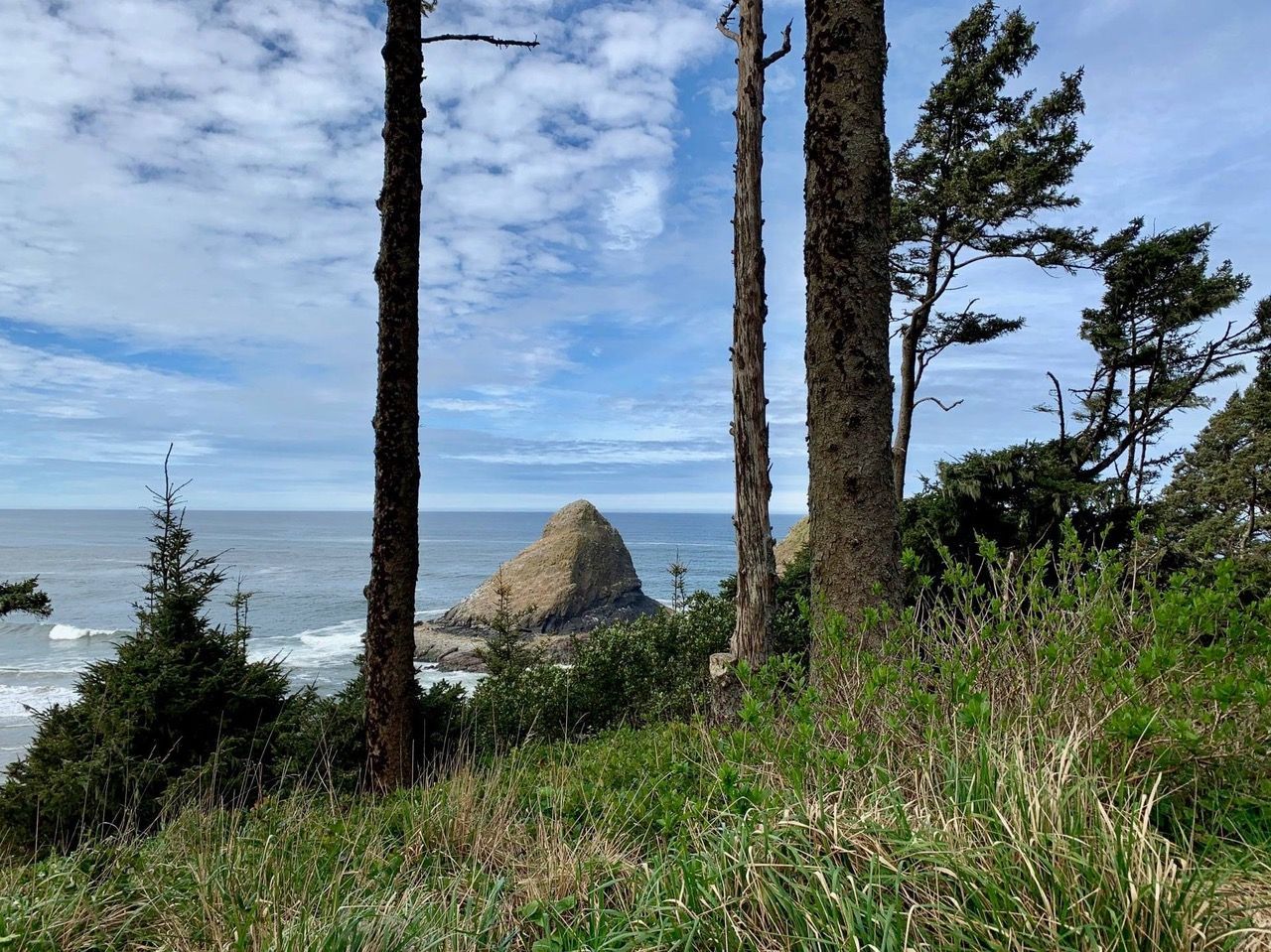 New Roving Nature at Heceta Head