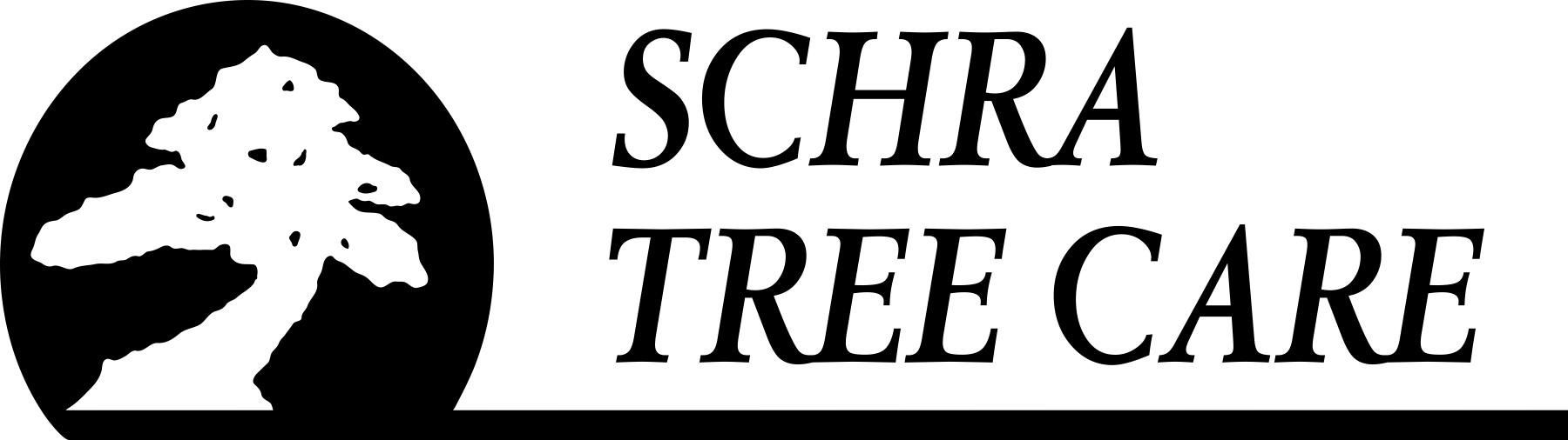 Tree Experts | Loveland Colorado