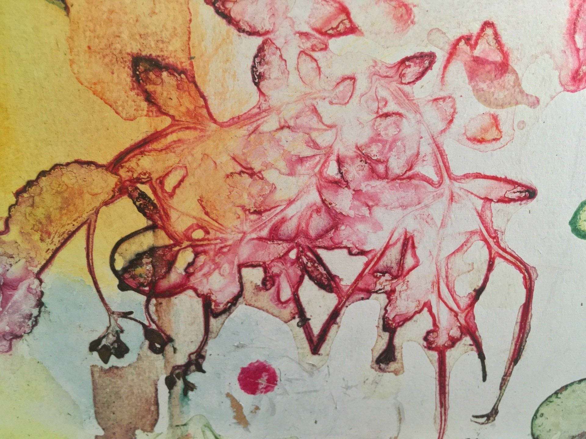 David Booth MRSS Fine Artist Home