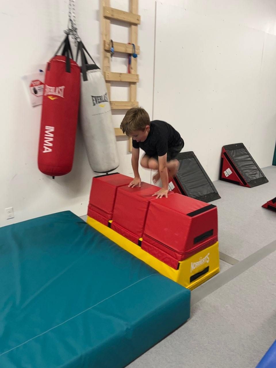 Golden Triangle Gym