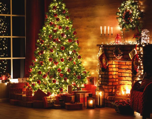 Biblical Meaning Of Christmas Tree