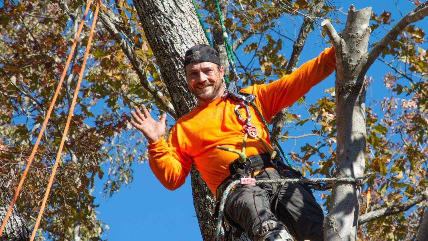 Tree Trimming & Pruning | Leeds, AL | ISA Certified, The Arborist