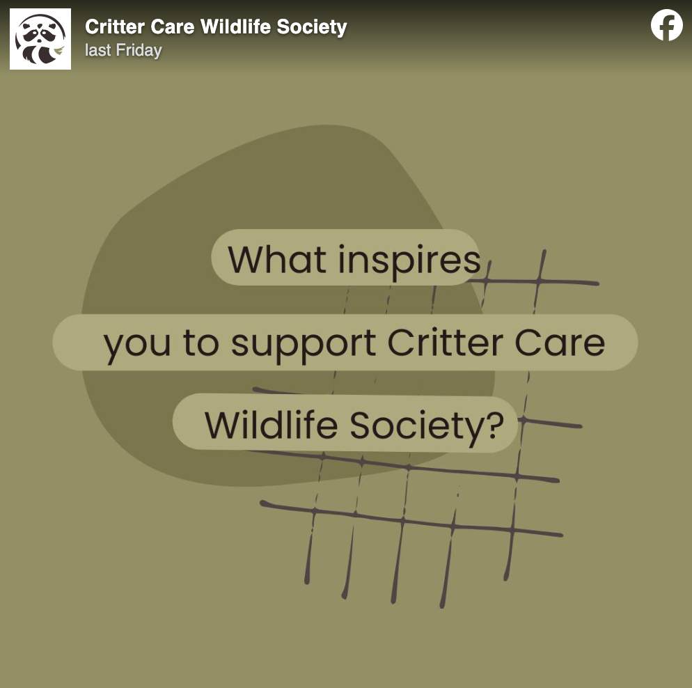 What inspires you to support Critter Care?